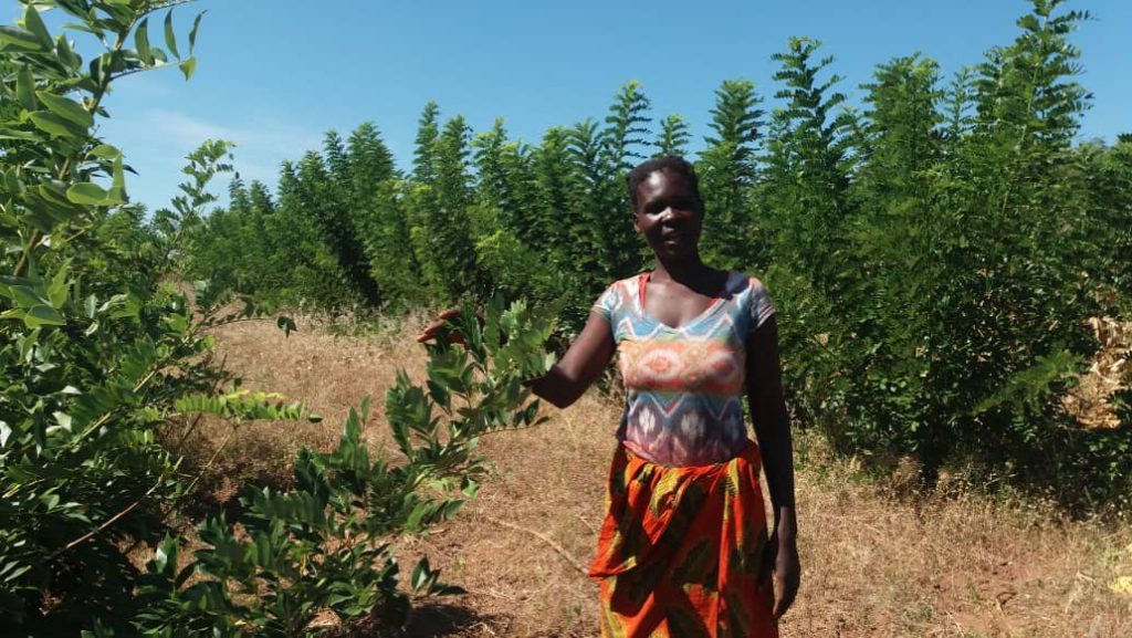 The conservation story behind COMACO