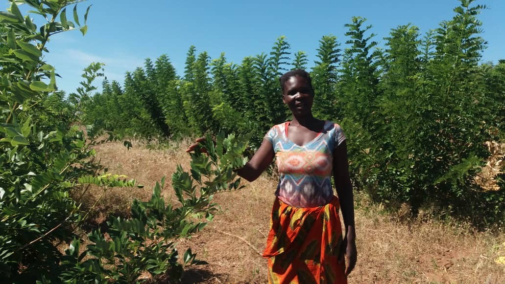 The conservation story behind COMACO